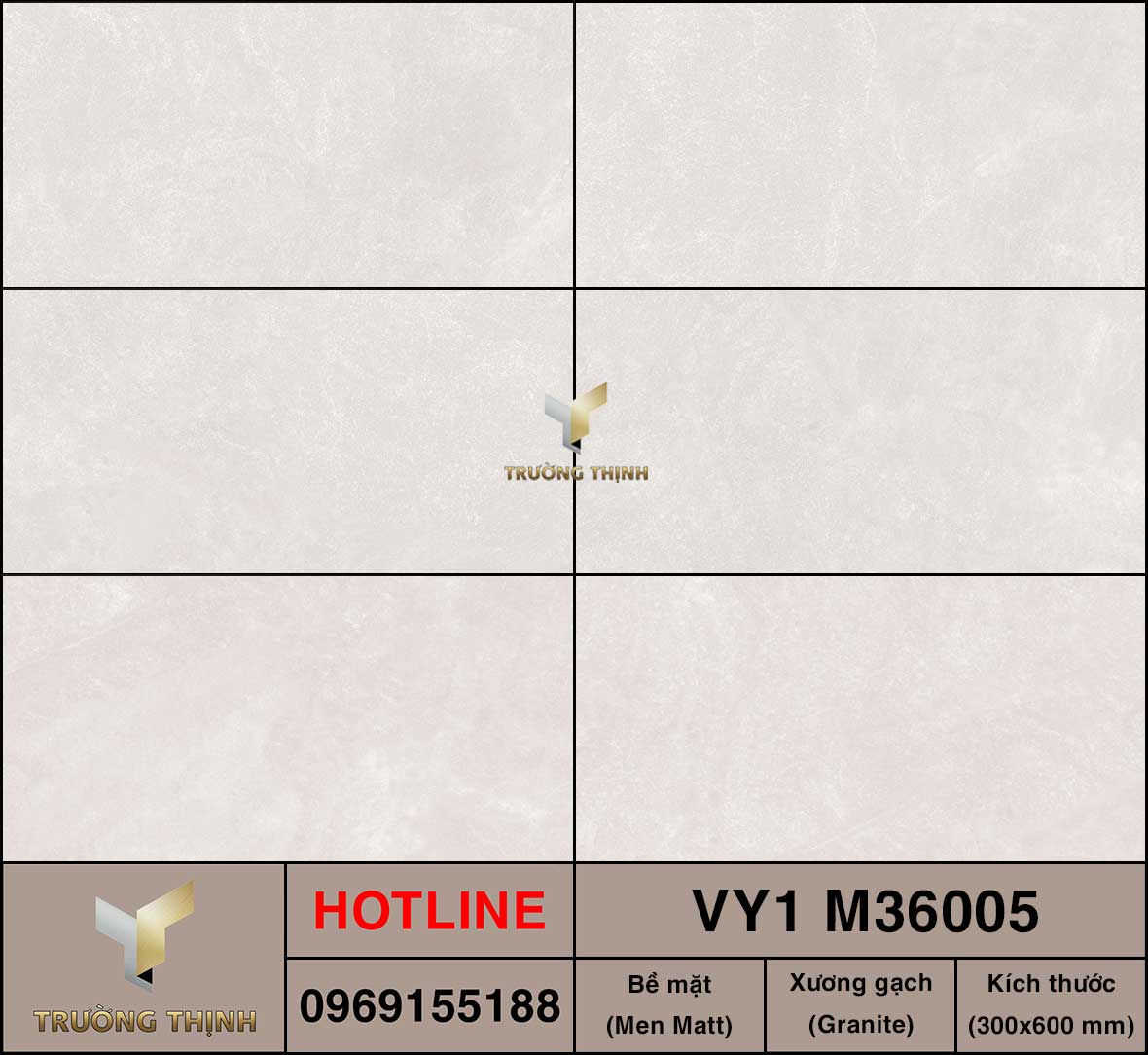 Gạch vân xi măng 300x600 Việt Ý VY1-M36005 cao cấp